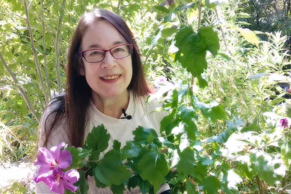 Hibiskus oder Rose? | Website, Text, Fotografie, Autoren-Coaching